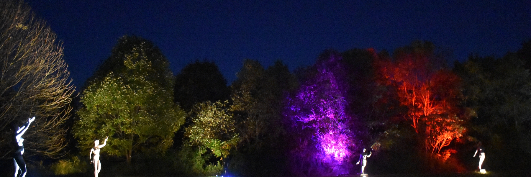 Griffis Sculpture Park - Ashford, East Otto