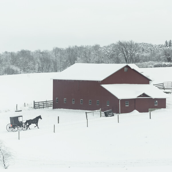 Amish Trail | Enchanted Mountains of Western New York State